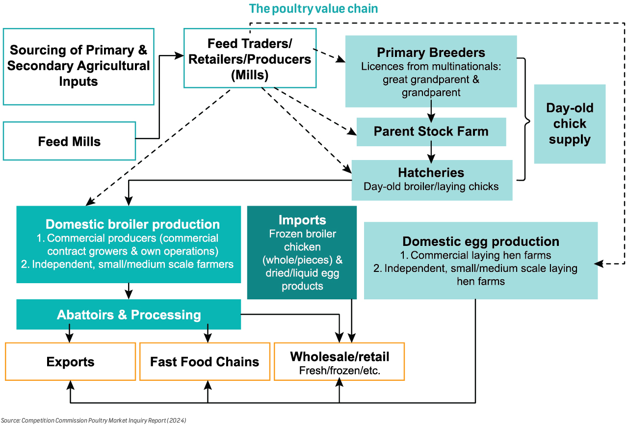 Rainbow Chicken - Listing on the JSE